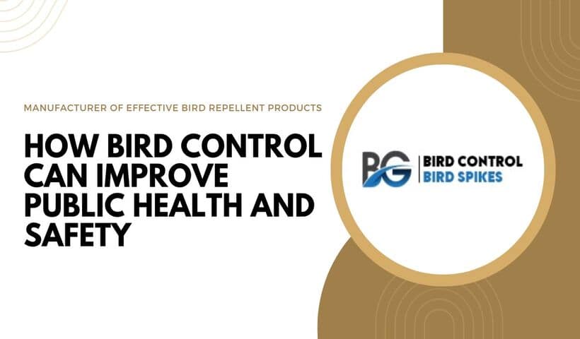 How Bird Control Can Improve Public Health and Safety - Effective Bird ...
